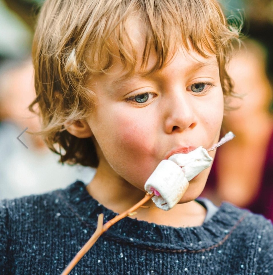 Avon Skin So Soft Bug Guard Plus Picaridin Aerosol Spray Mosquito ...