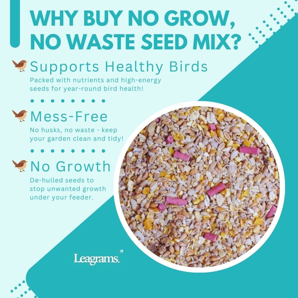 Wild Bird Food Seed Mix No Grow, No Waste, No Husk, Premium Grade 12 ...