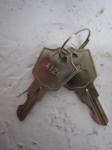 APEM A126 PASS KEY Pack of 5 | eBay