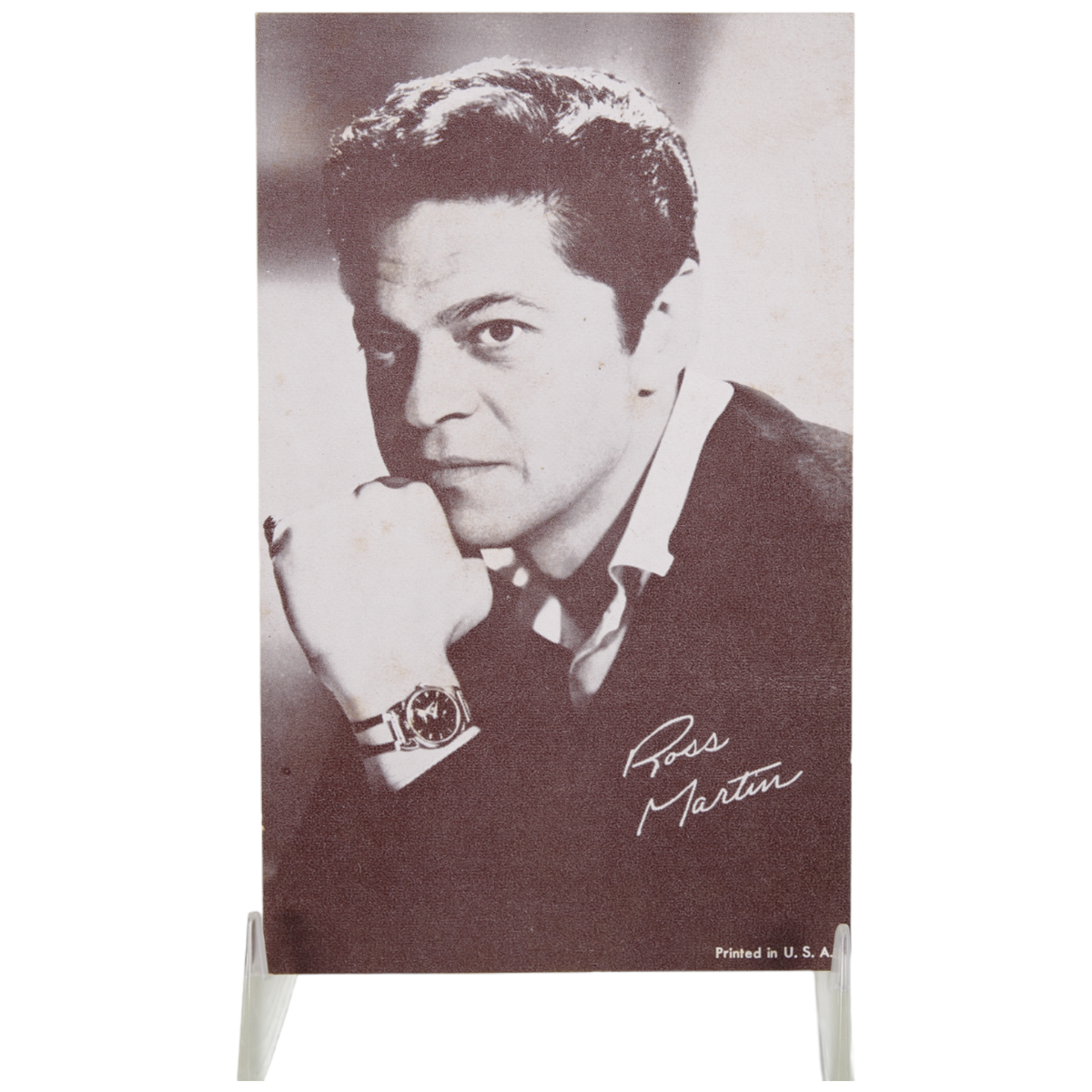 Ross Martin Actor