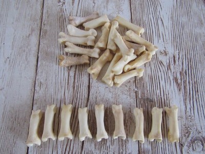 10 Bobcat Toe/Foot Bone Metatarsals Bones Craft Supplies Bone Animal ...