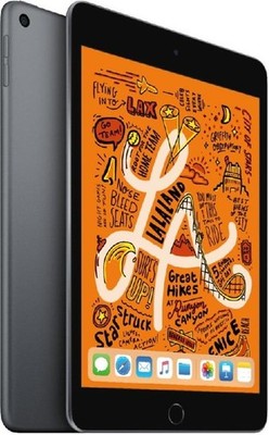 Apple iPad Mini 5th Gen Wi-Fi + Cellular (A2126) - 64GB Space Gray | eBay
