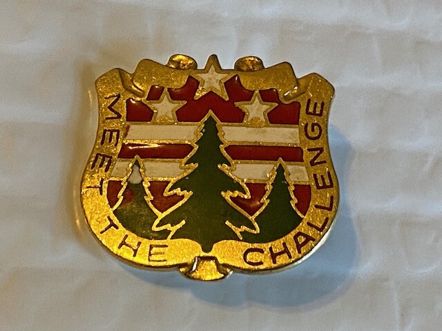 US Military 124th Regional Support Command Insignia Pin - Meet The ...