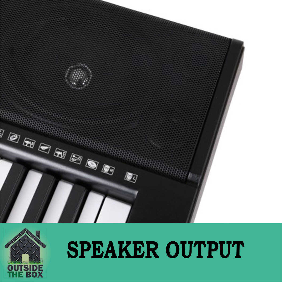 61-Key Electronic Keyboard EK-81 Comprises 61 Full-Size Keys LED ...