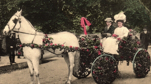 C.1910 DECORATED HORSE DRAWN CARRIAGE, PORTLAND ROSE FESTIVAL OR ...