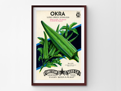 Vintage Okra Seed Packet POSTER! (up to 24" x 36") - Kitchen ...