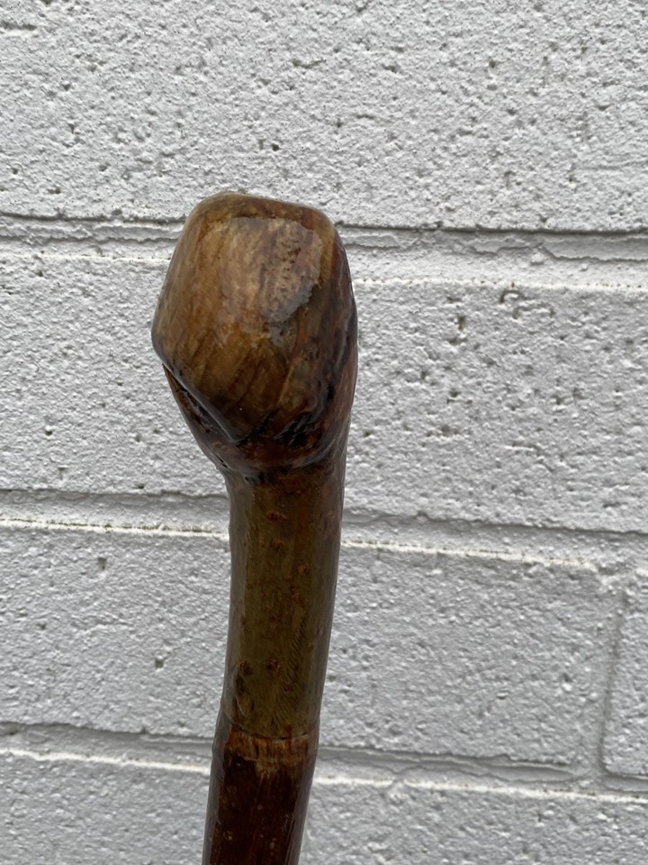 Handmade Hiking Stick made from Hazel with a Green Willow Pommel From ...
