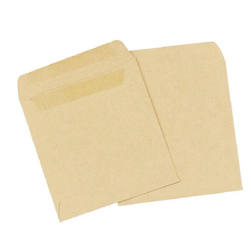 Small Brown Plain Envelopes - Self Seal - Money Wage Pay Seeds | eBay UK