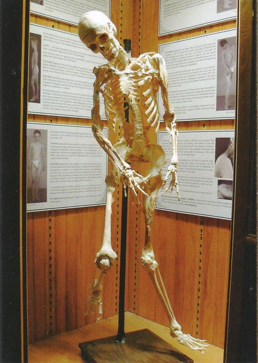 Exploring the Enigmatic World of Medical Curiosities: Browsing the ...