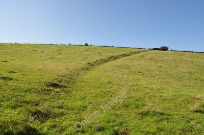 Photo 12x8 Mid Devon : Grassy Hillside & Ditch Tiverton/SS9512 A small ...