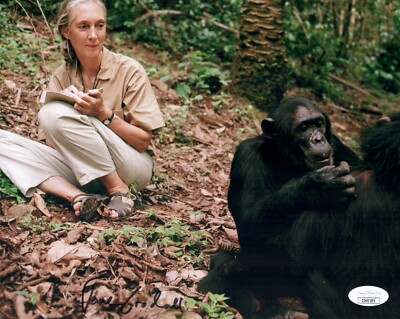 JANE GOODALL Signed ANTHROPOLOGIST CHIMPANZEE 8x10 Photo Autograph JSA ...