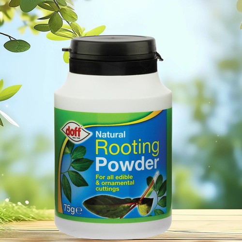 Doff Natural Rooting Powder Plant Cutting Promotes Strong Healthy Roots ...