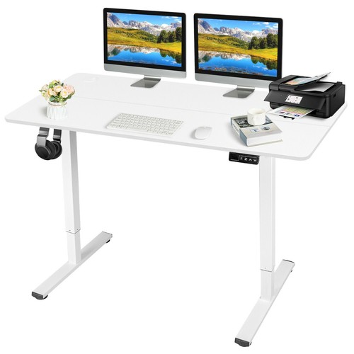 Flamaker Electric Standing Desk Height Adjustable Standing Desk for ...