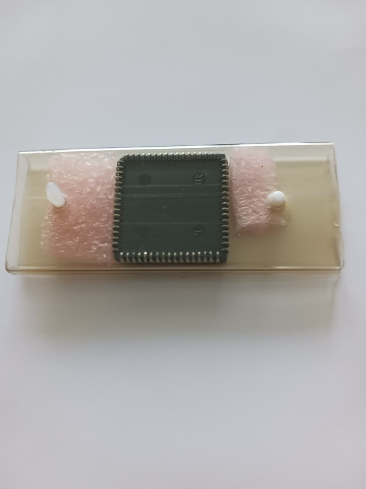 Vintage AMD N80L286-8 CPU 80286 PLCC68 8MHz 16Bit x86 Low-Power ...
