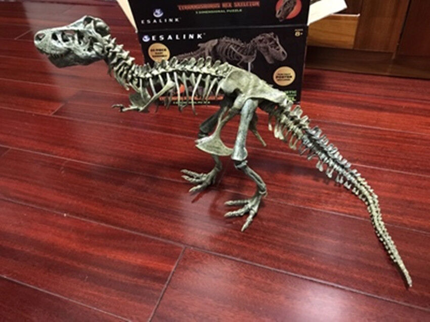 Animal Model T Rex Tyrannosaurus Rex Skeleton Dinosaur Toy Collector ...
