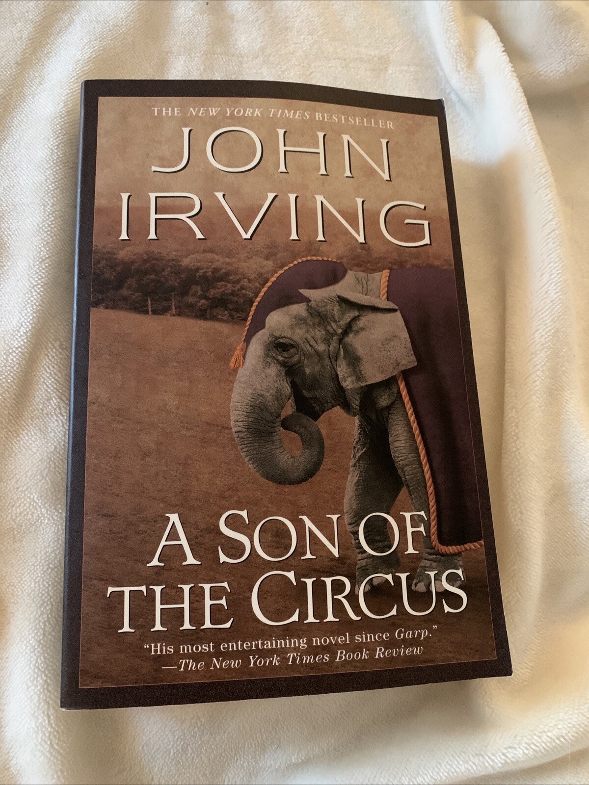 A Son of the Circus (Ballantine Reader's Circle) - Paperback - VERY GOOD 9780345417992| eBay