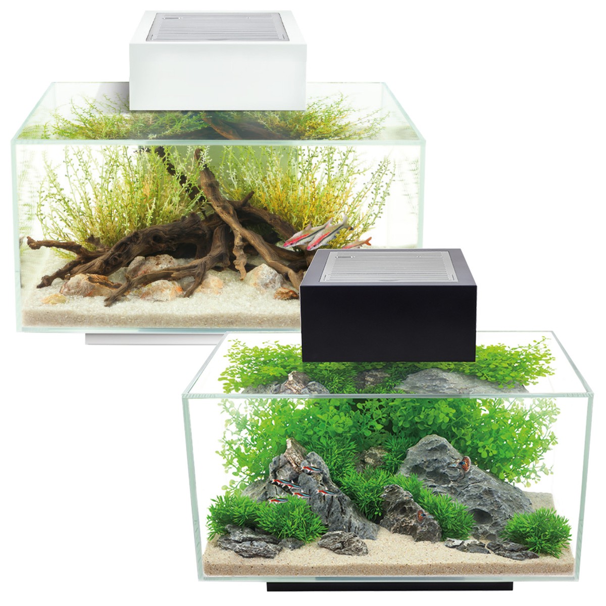 Fluval Edge Aquarium Sizes Fluval Edge 2.0 Large Tall Black Aquarium