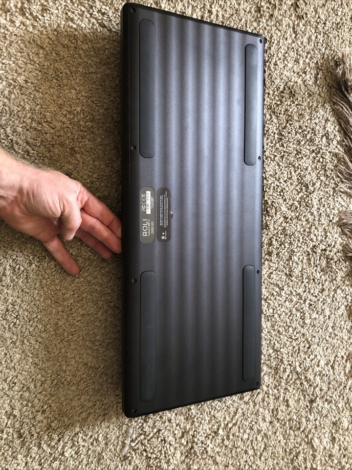 Roli Seaboard Rise 25 | eBay