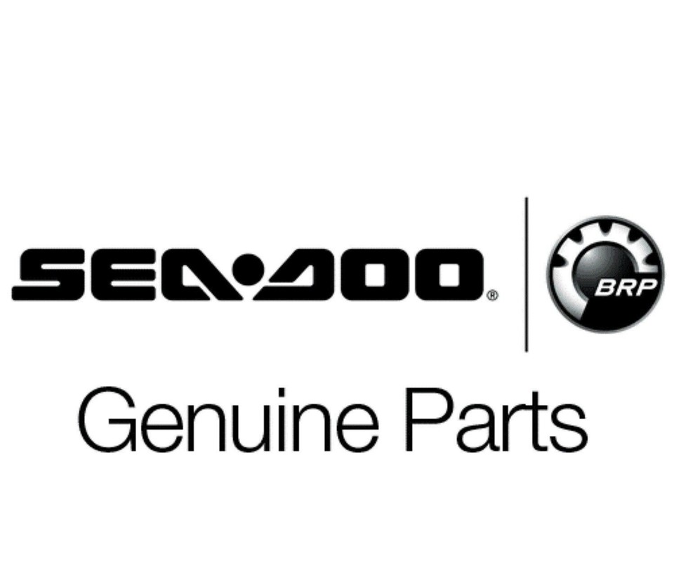 Sea-Doo New OEM Retractable Spring-Loaded Boarding Ladder 295100747 ...