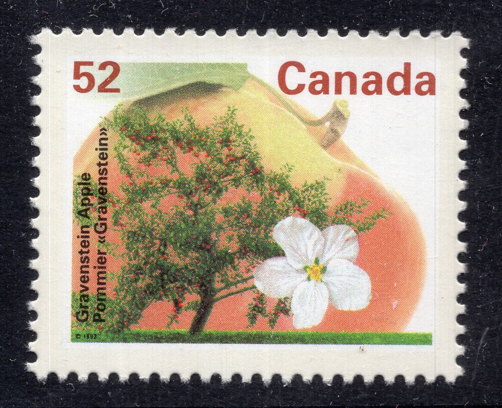 Canada 1366i VF MNH single on PP, perf 13.1, 52c Gravenstein Apple CV ...