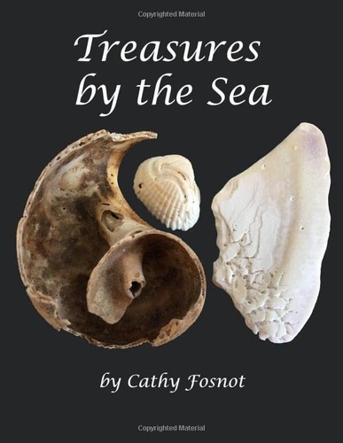 Treasures by the Sea by Fosnot, Catherine Twomey Book The Fast Free ...