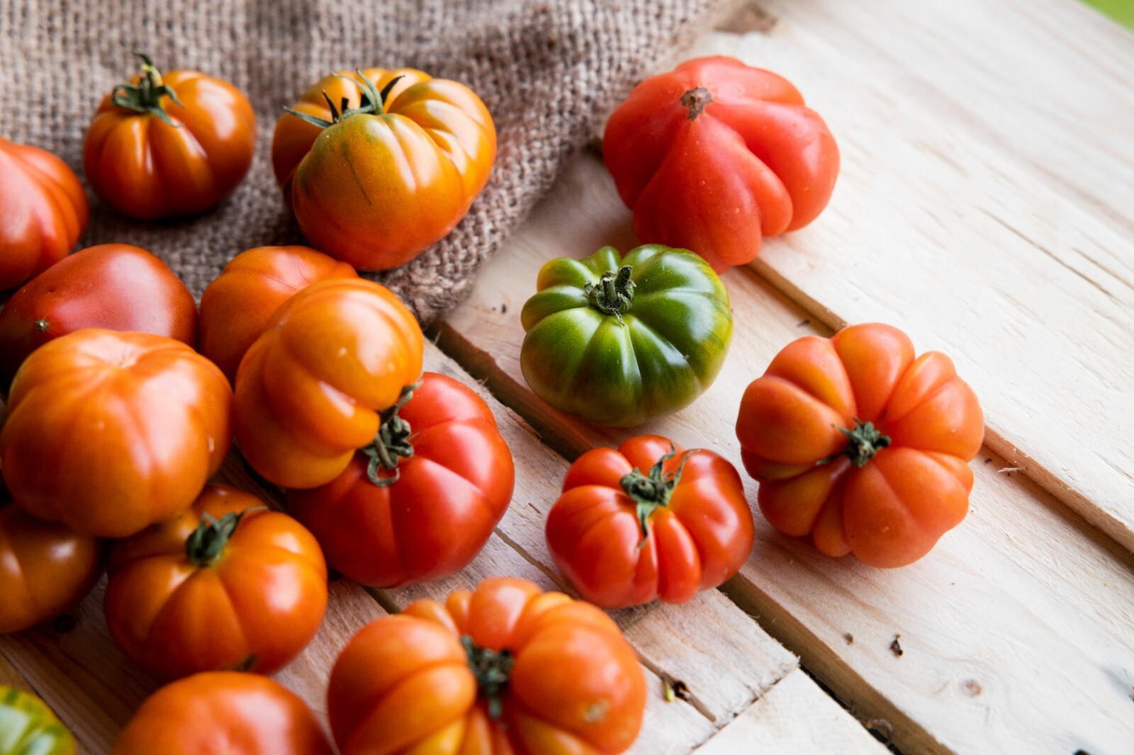 TOMATO Santorini 15+ HEIRLOOM Seeds EASY vegetable HIGH IN CANCER ...