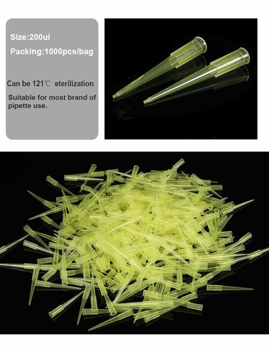Laboratory Pipette Tips Micropipette Pp Plastic Disposable Tip 10 ...