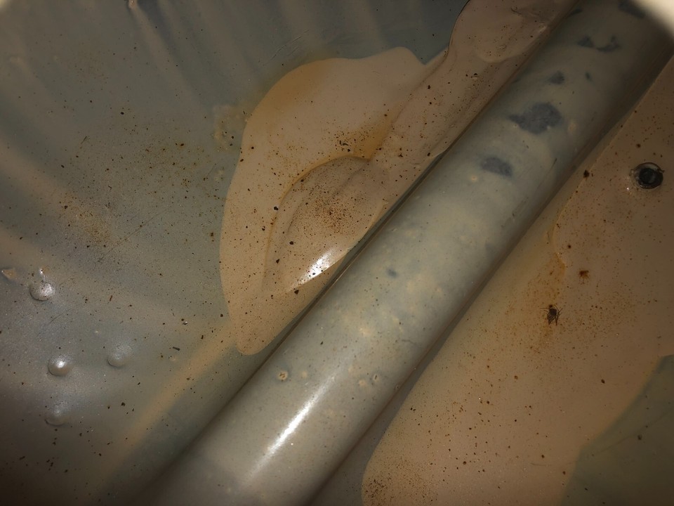 Cushman Eagle Cast Iron Husky Gas Tank With Gas Tank Band Chrome | eBay