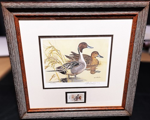Ken Carlson 1982 Texas Waterfowl Duck Stamp Print With Stamp - Brand ...