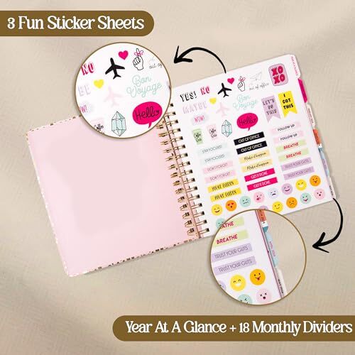 18-Month Day Large Planner, 2024-2025, Daily, Weekly & Monthly, January ...