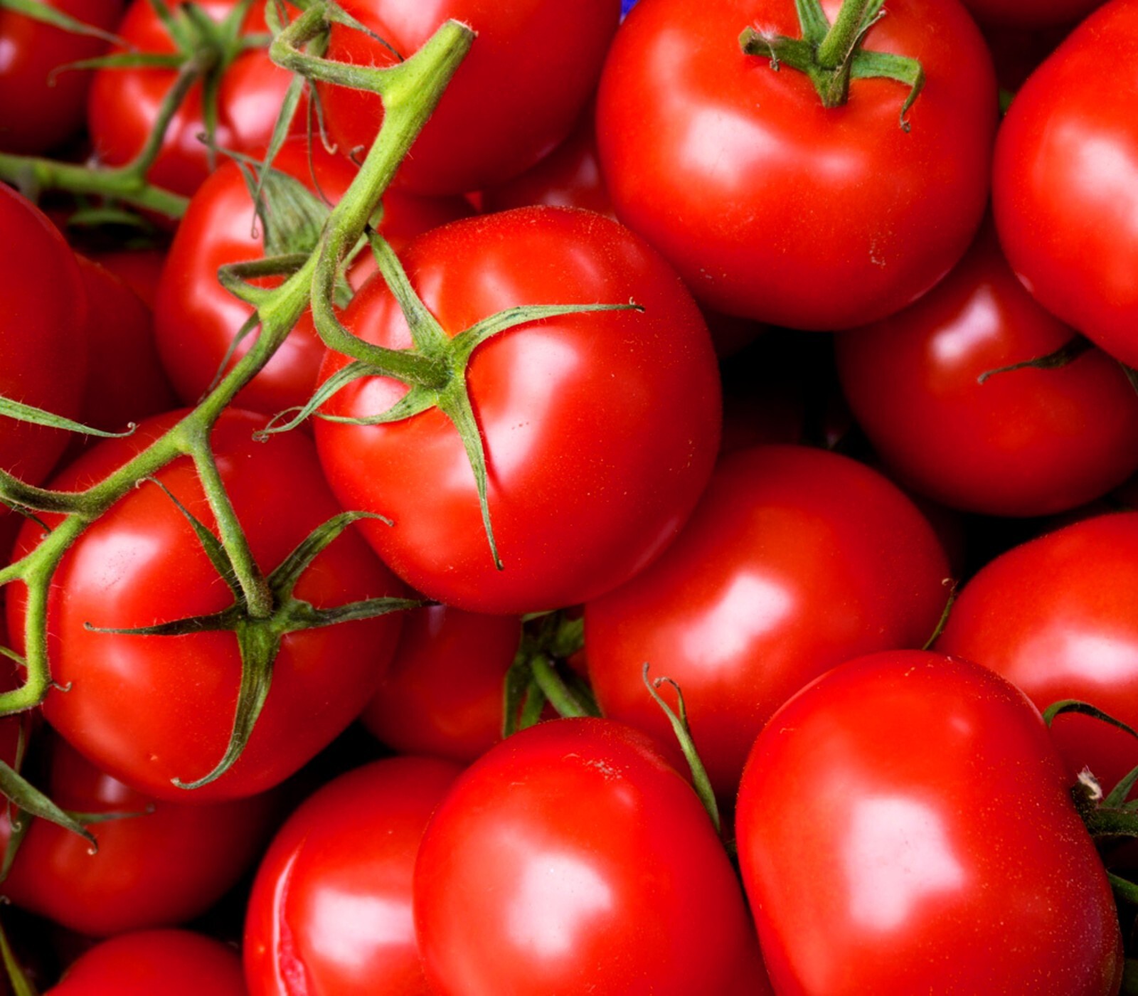 Hawaiian Kewalo Tomato 25 Seeds | eBay