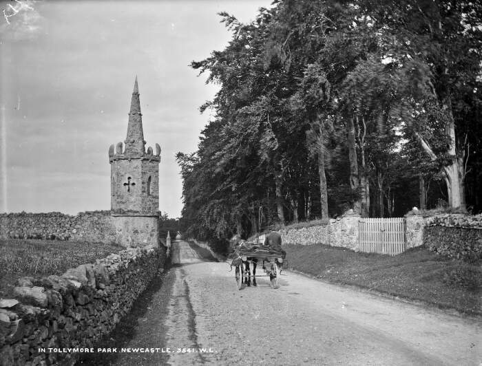 Tullymore Park Newcastle Co Down Ireland c1900 OLD PHOTO | eBay Australia