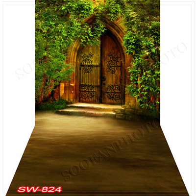 Outdoor 10'x20'Computer/Digital Vinyl Scenic Photo Backdrop Background ...