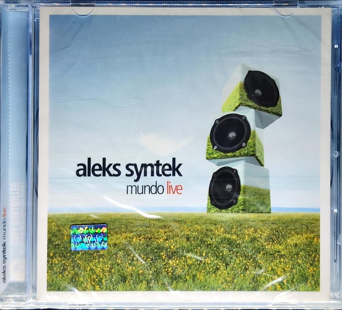 Syntek Global Logo