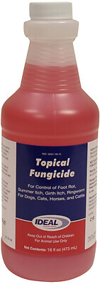 Foot Rot Topical Fungicide Treatment, 16-oz. | eBay