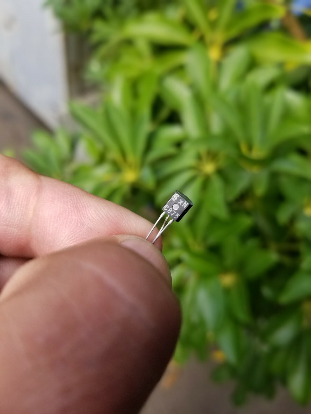 BC875 Original Siemens Small Signal Bipolar Transistor Darlington | eBay