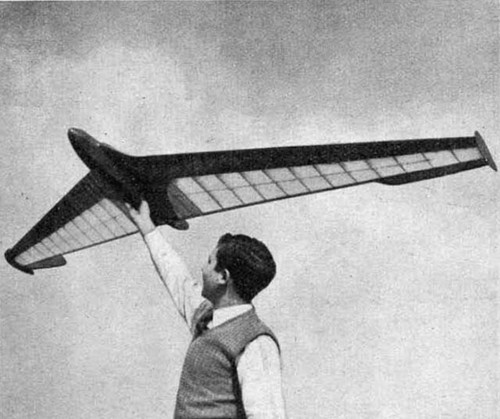 Aquila FF Sailplane 95" Wingspan RC Model Airplane Printed Plans ...