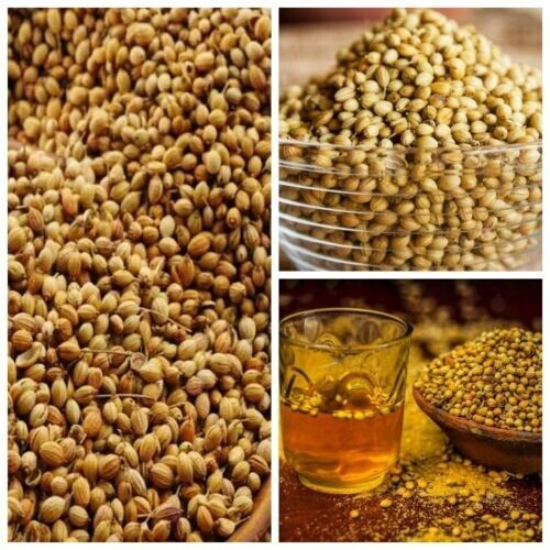 100% Organic Spice Organic Coriander Whole Koththamalli Pure Natural ...