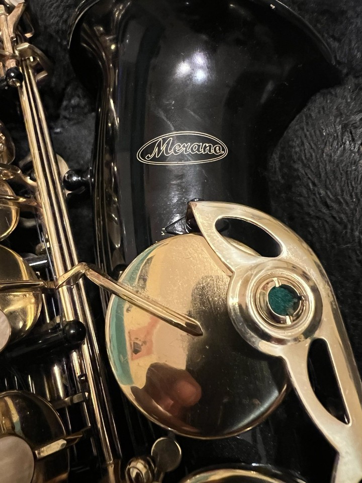 Bundy Alto Saxophone Musical Instrument with Hard Case | eBay