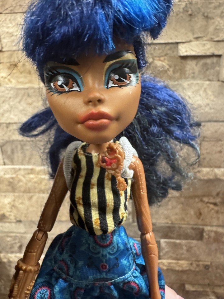 MONSTER HIGH ROBECCA STEAM DOLLs Coffin Bean And Other Not Complete | eBay