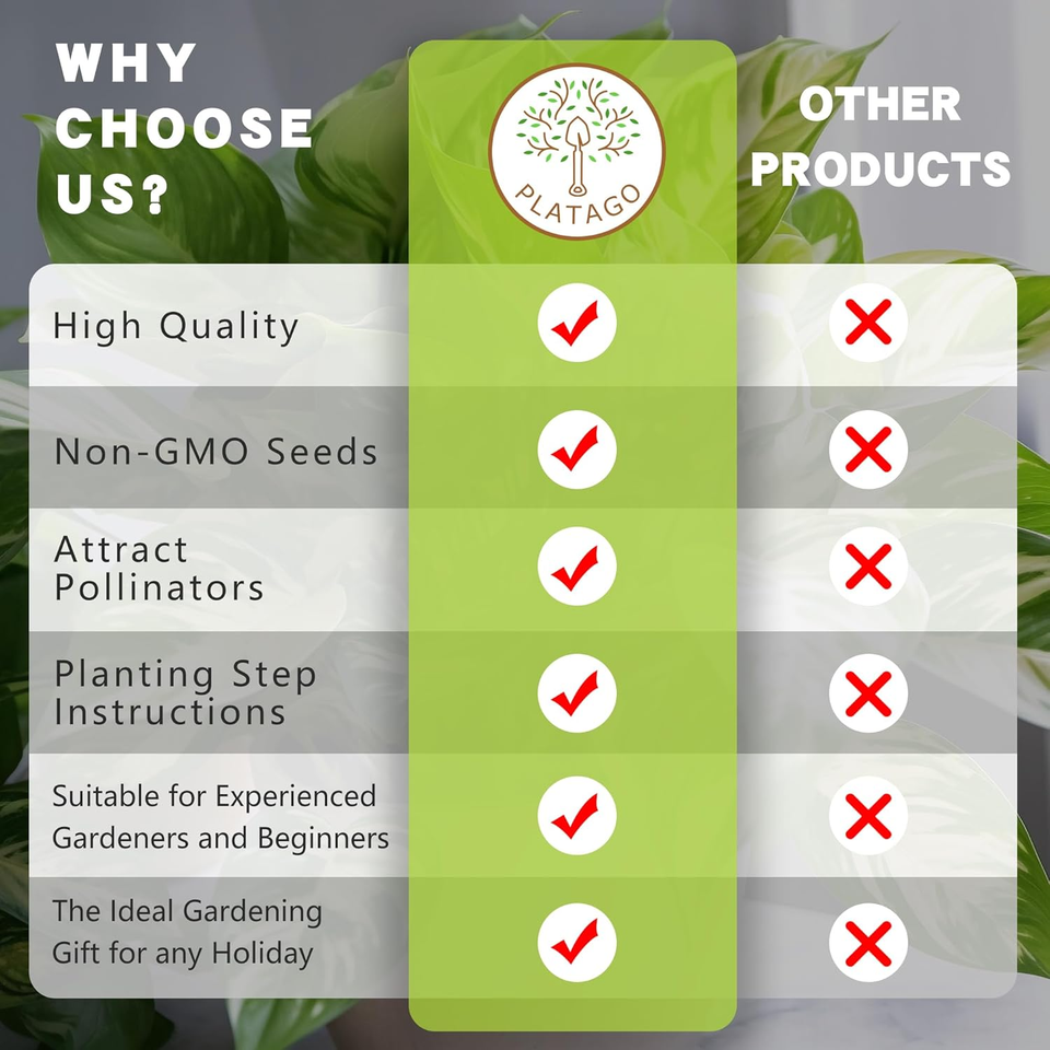 Mixed Hosta Seeds Perennial Hosta Plants Grow Easily Hosta Seeds for ...