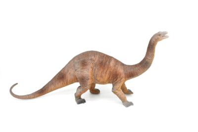 Apatosaurus Toy, Dinosaur Model, Realistic Plastic Replica, 16" CWG159 ...