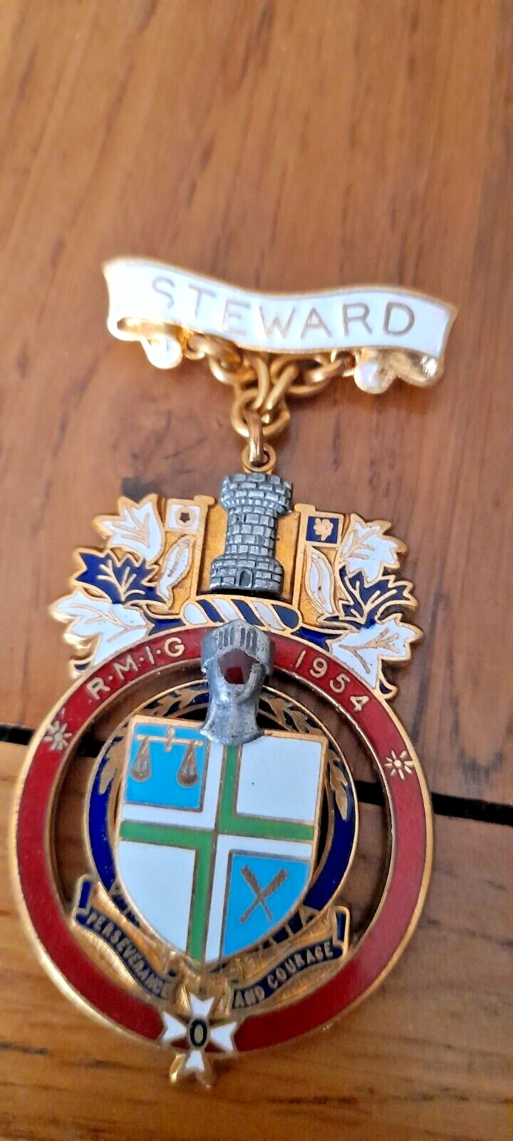 1954 RMIG Royal Masonic Institution For Girls Enamel Steward Pin Badge ...