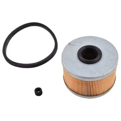 Filtre à Carburant Kangoo Laguna Mégane Scénic Thalia Trafic 1.9 D ...
