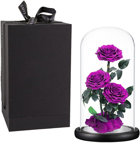 Purple Roses Handmade Preserved Real Rose in Glass Dome, Long Lasting ...