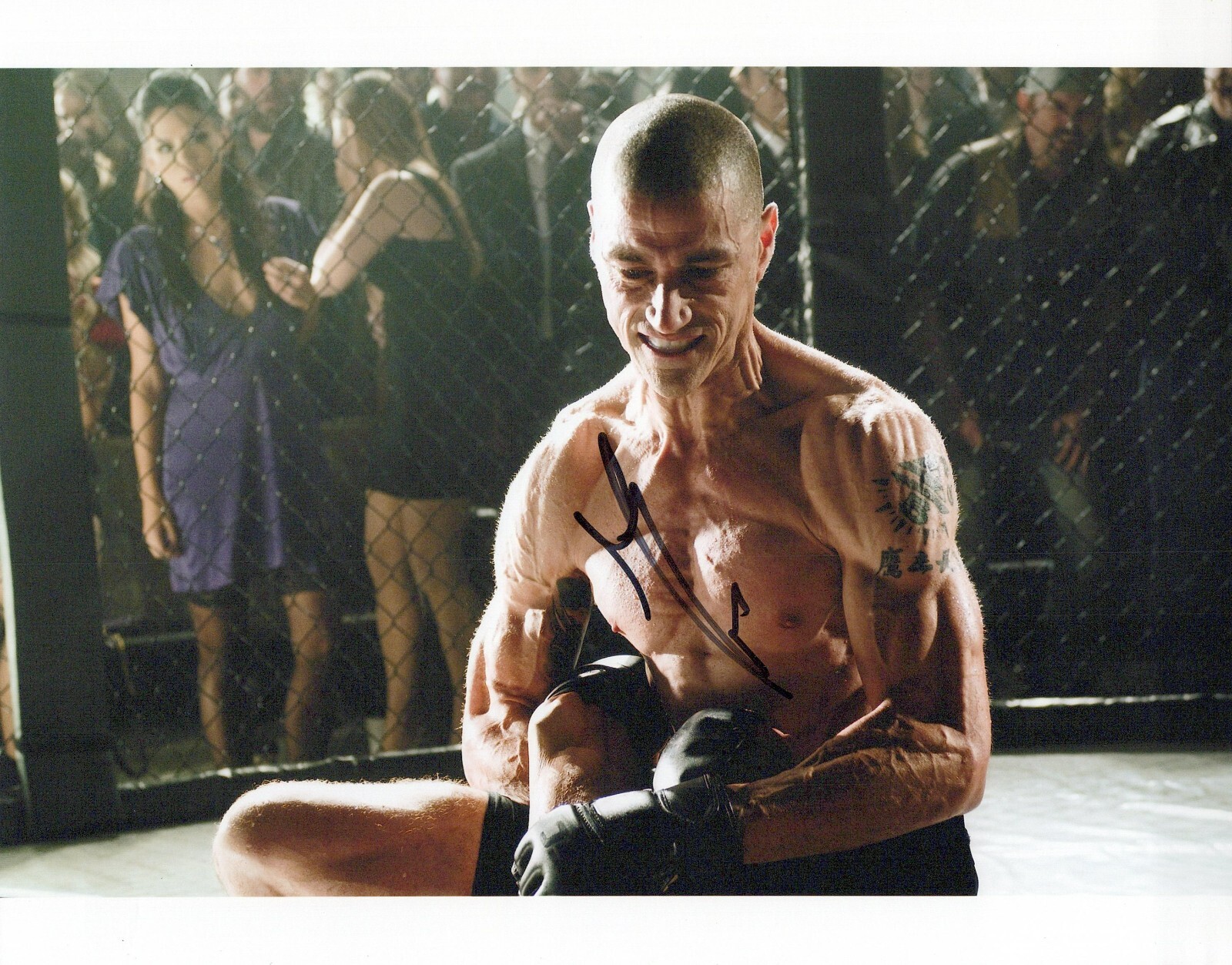 Matthew Fox Alex Cross