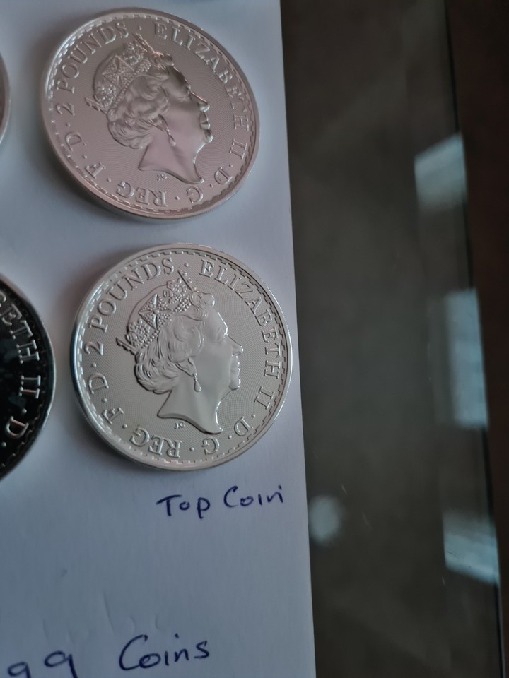 25 x Full Tube 2020 Queen Elizabeth II Silver 1 Oz Bullion Britannia ...