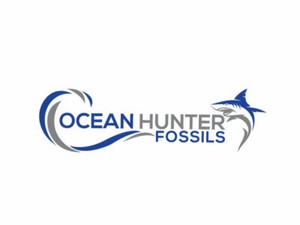 Ocean Hunter Fossils | eBay Stores