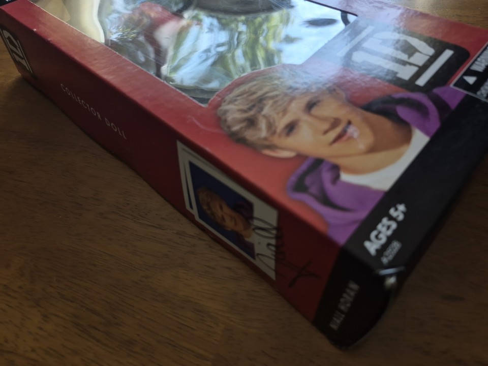 Niall Horan One Direction Hasbro 1D Doll New In Box Never Removed RED ...