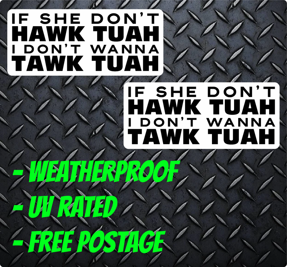 Hawk Tuah! Custom Decals 2x Pack 150mm x 65mm Spit On That Thang! | eBay